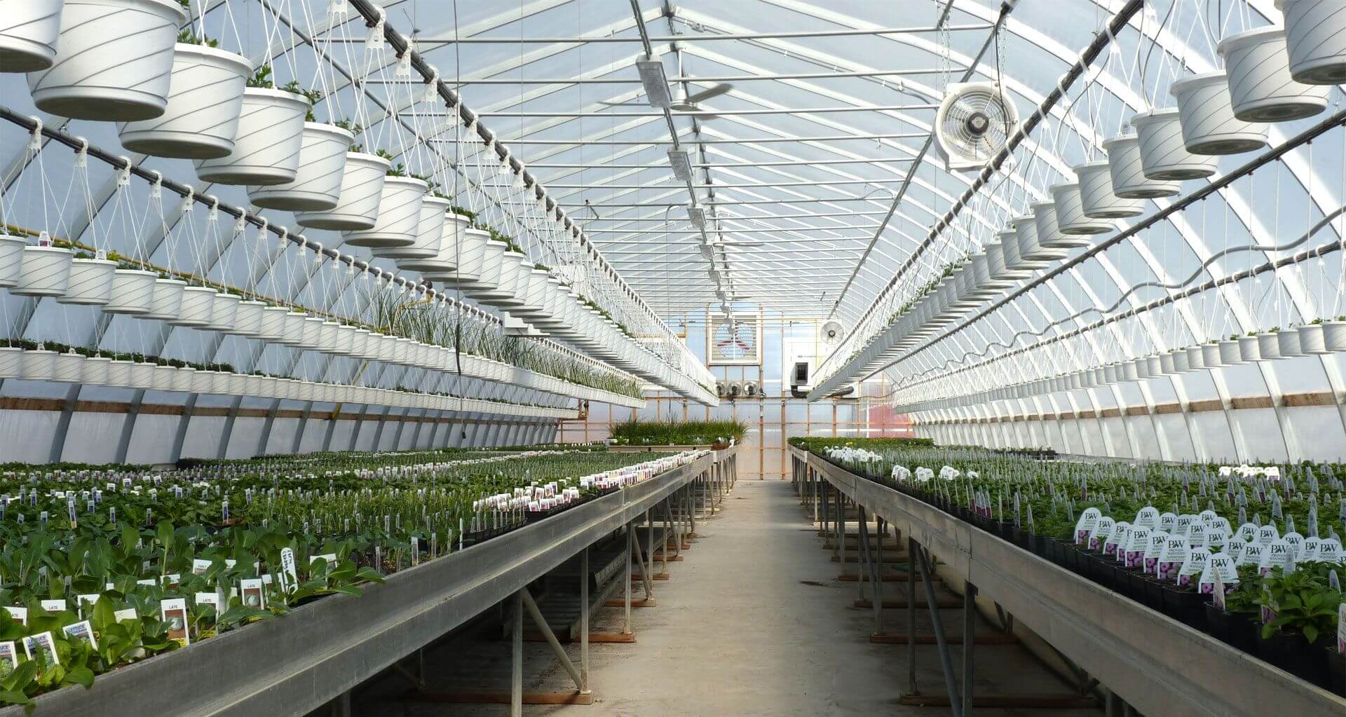 Top Polycarbonate Sheet manufacturer in India - MG Polyplast